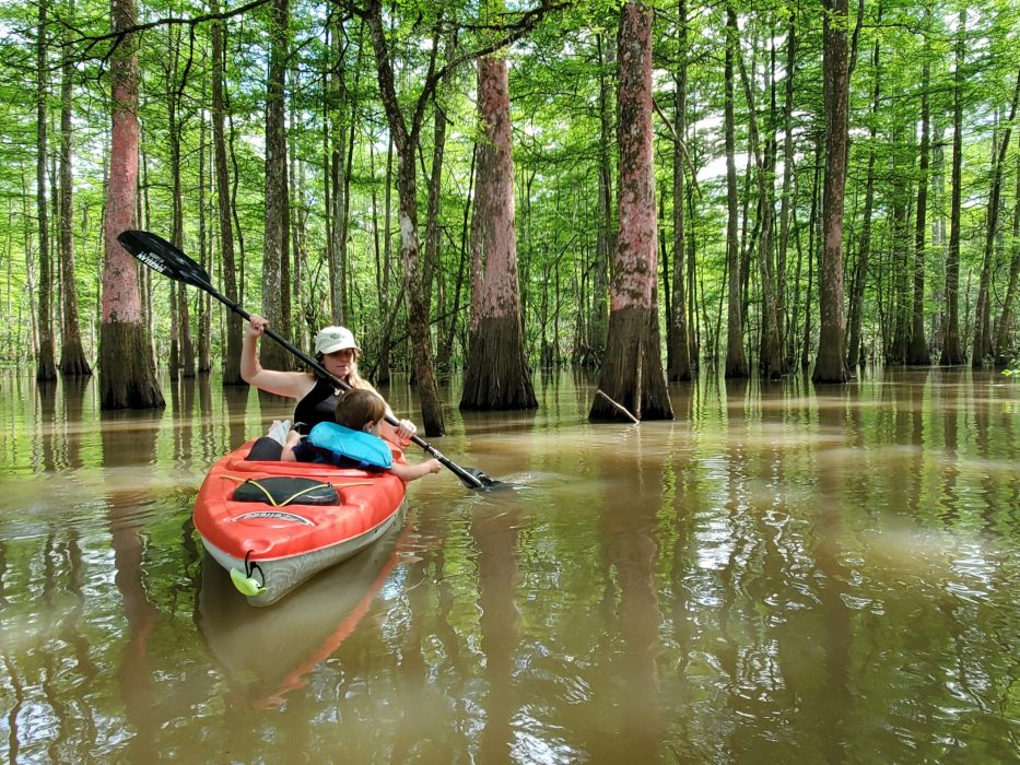 Kayak Tour in Baton Rouge, LA | Last Wilderness Swamp Tours
