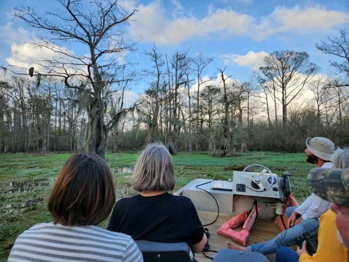 Guided Swamp Tour near Baton Rouge, LA | Last Wilderness Swamp Tours