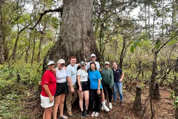 Guided Swamp Tour near Baton Rouge, LA | Last Wilderness Swamp Tours