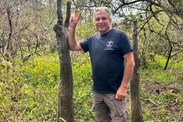 Guided Swamp Tour near Baton Rouge, LA | Last Wilderness Swamp Tours