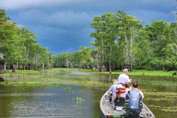 Guided Swamp Tour near Baton Rouge, LA | Last Wilderness Swamp Tours